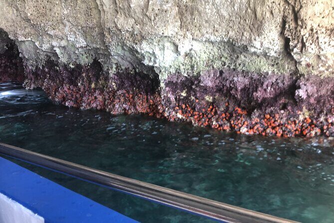 Private boat tour with prosecco and fresh fruit - Price, Value, and Considerations