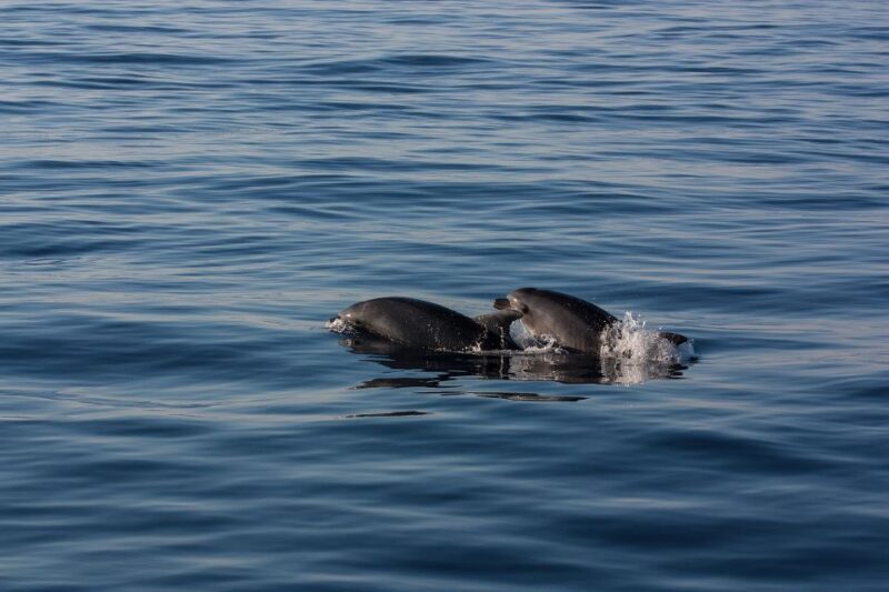 Private Boat tour with snorkeling, Hot Springs & Caldera - An Inside Look at the Santorini Private Boat Tour