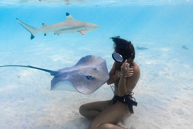 Private Boat Tours on Moorea Lagoon - Why This Tour Stands Out