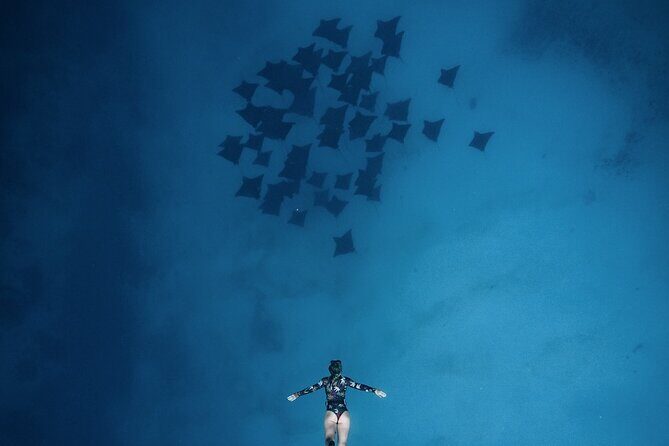 Private Boat Tours on Moorea Lagoon - FAQs