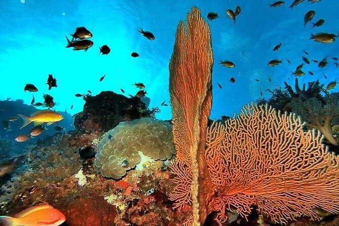 Private boat trip Komodo 2 or more person for 3 days 2 nights, Kelor, Rinca... - Who Should Consider This Tour?