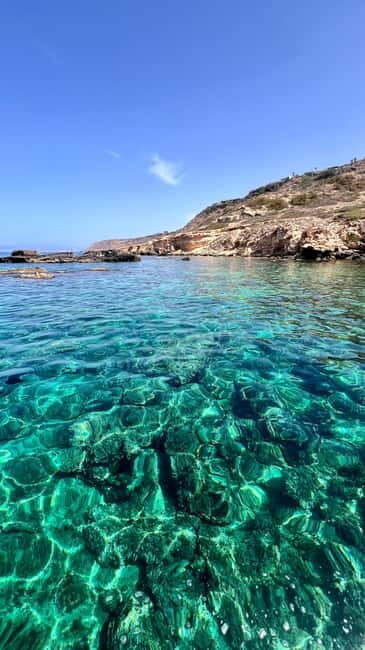 Private Boat Trip Playa de Palma Marine Reserve - Who Will Love This Experience?