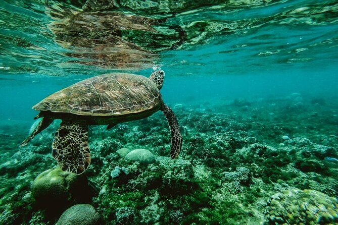 Private Boat Trip with Sunset / sunset cruise - Authenticity and Value