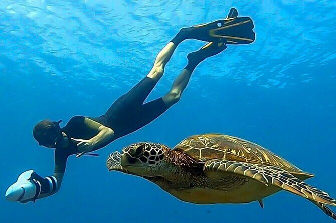 Private Boat Trip with Sunset / sunset cruise - Authentic Reviews and Insights