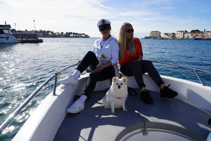 Private boat trips in Porec: Dolphin watching at sunset - What You’ll Love About This Trip