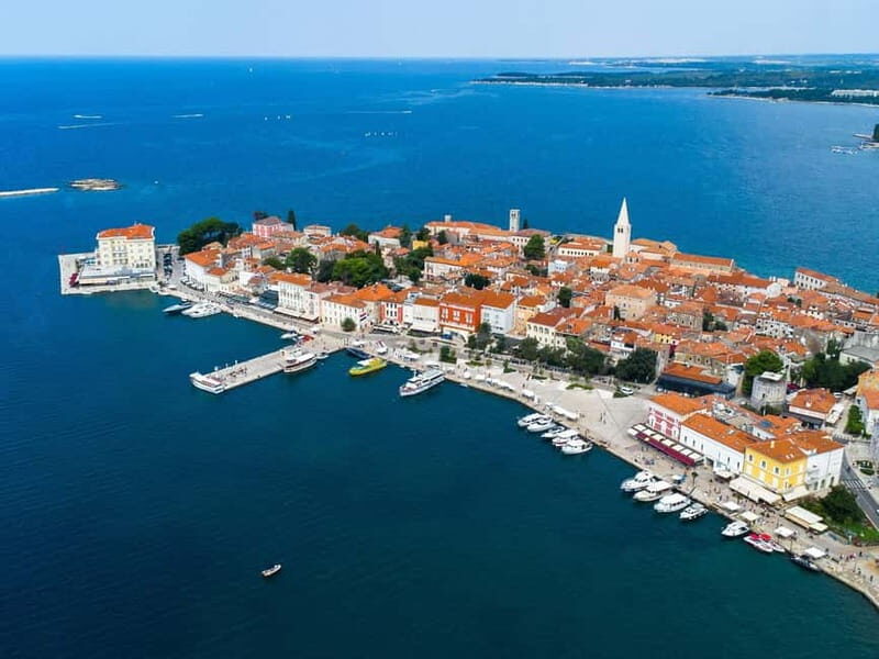 Private boat trips in Porec: dolphin watching, panoramic tour - Key Points