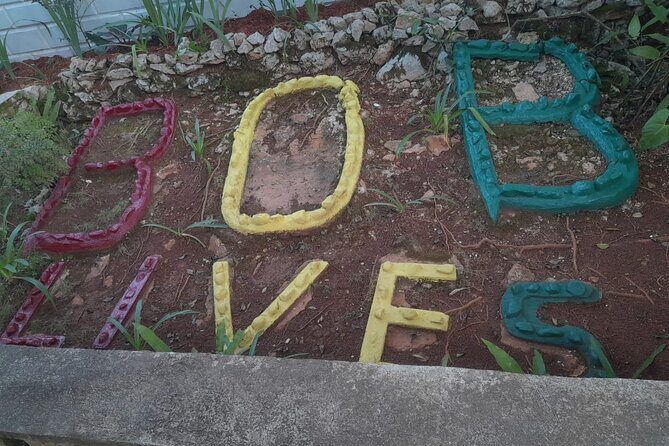 Private Bob Marley 9 Mile& Dunns River Adventures Fr. Montego Bay - Who Is This Tour Best For?