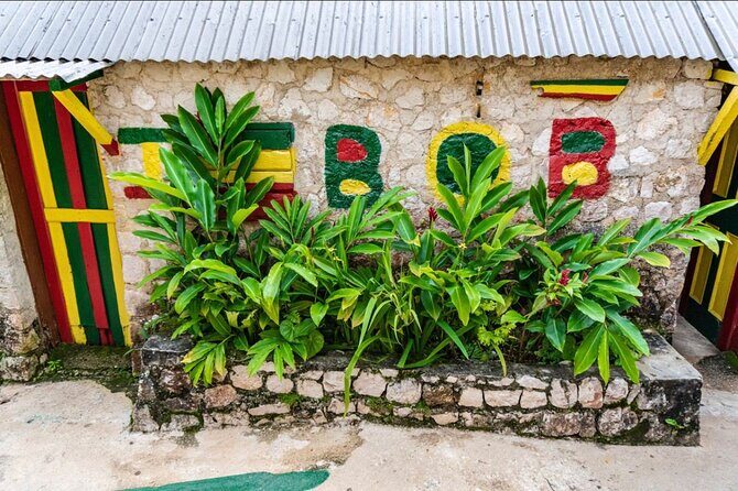 Private Bob Marley 9 mile & DunnsRiverFalls Tour from Montego Bay - Who Should Consider This Tour?