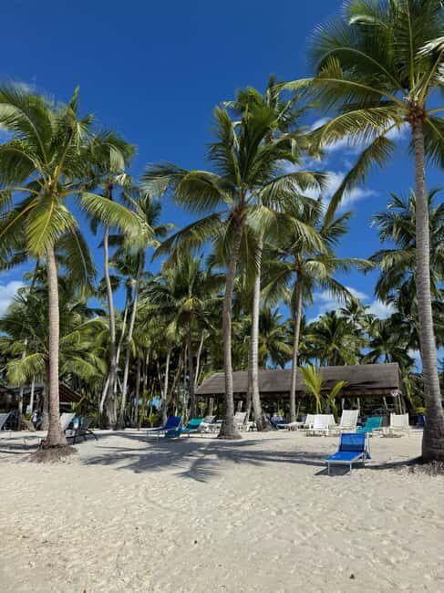 Private: Boca Chica to Saona Island Full-Day Cruise - Who Will Love This Experience