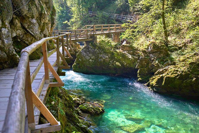 Private Bohinj & Vogel Tour from Bled - Key Points
