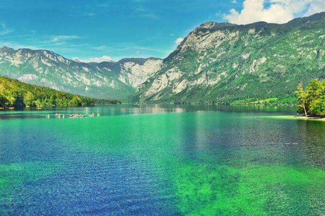 Private Bohinj & Vogel Tour from Bled - The Sum Up: Who Should Consider This Tour?