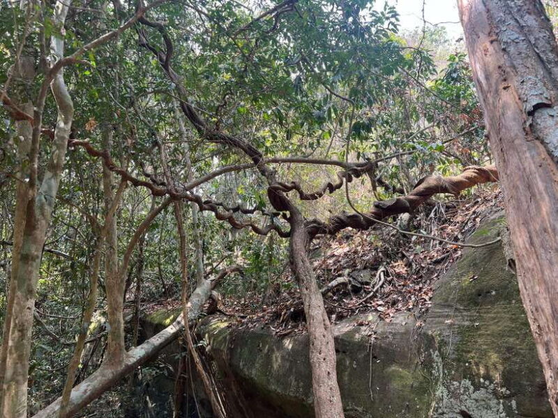 Private Bonteay Srei, Kbal Spean and Beng Mealear Tour - FAQ