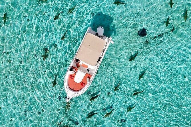 Private Bora Bora Lagoon Experience - Final Words: Is It Worth It?