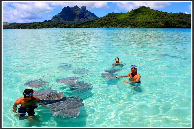 Private Bora Bora Lagoon & Water Lunch Experience - What to Expect: A Closer Look at the Itinerary