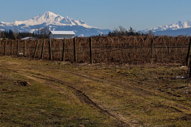 Private Border Corner Tour in Washington - Frequently Asked Questions