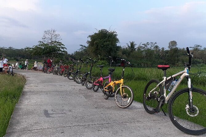 Private Borobudur Village Tour by Bike - A Well-Rounded Journey Through Borobudur’s Hinterland