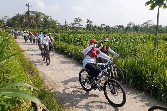 Private Borobudur Village Tour by Bike - FAQ