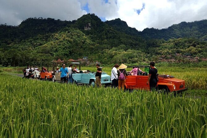 Private Borobudur Village Trip By Volkswagen Safari - Authenticity and Cultural Connection