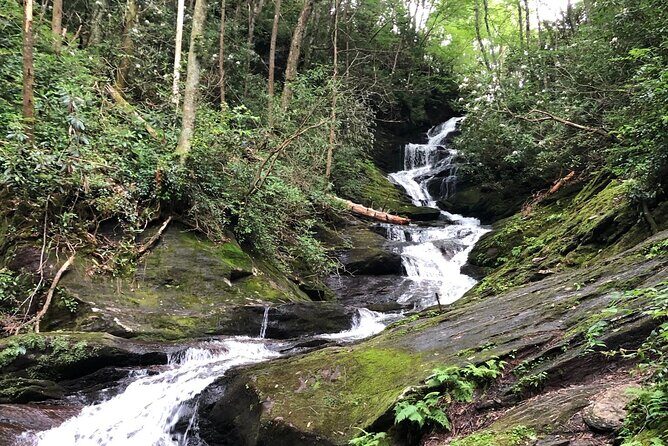 Private Boutique Blue Ridge Parkway Full Day Tour - What to Expect: Practical Details and What’s Included