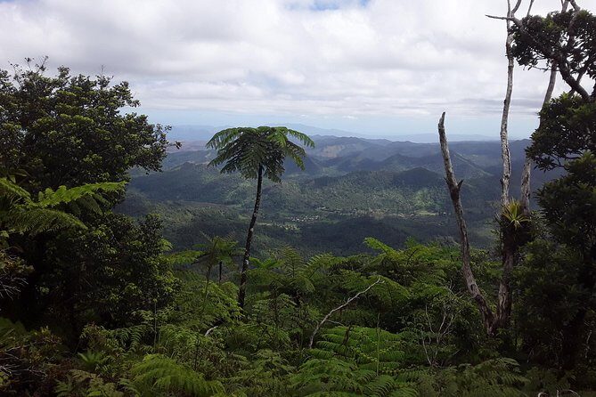 Private Breathtaking Mnt Victoria Day Trek - Authentic Experiences Along the Way