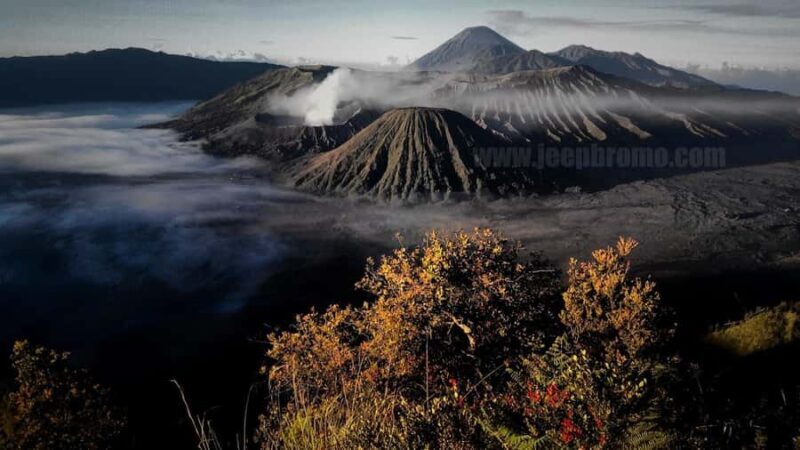 Private Bromo Tour start from Malang - 1D - The Sum Up