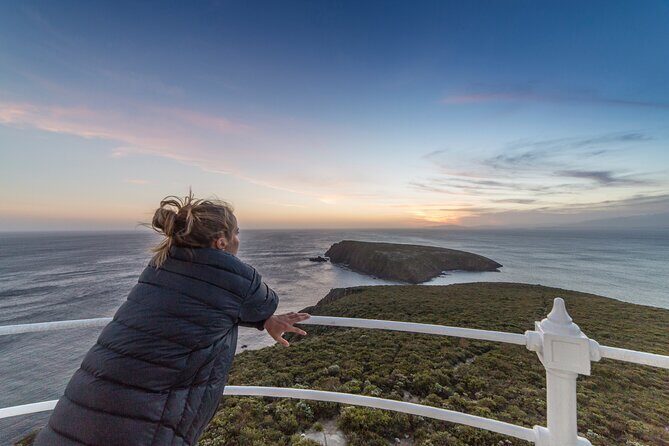 Private Bruny Island Wine, Food,Sightseeing & Lighthouse Day Tour - Gourmet Lunch at Bruny Island Premium Wines