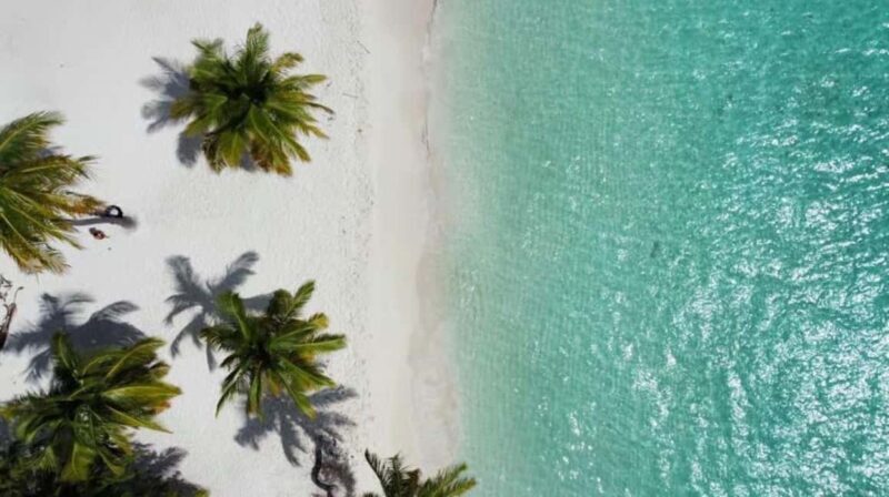 Private Buggy Safari Sugar Plantation & Chavón River Journey - Key Points