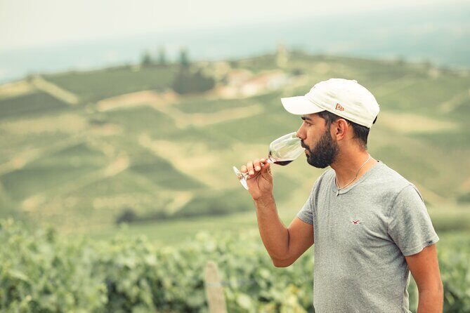 Private Burgundy Half Day Wine Tour by Vintage Land Rover - Exploring the Burgundy White Wine Region from Mâcon