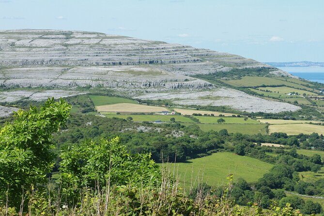 Private Burren and Cliffs of Moher Full Day Tour - Final Thoughts