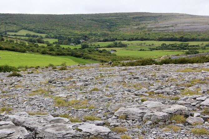 Private Burren and Cliffs of Moher Full Day Tour - FAQ