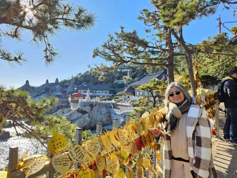 Private Busan Tour  Discover Top Sights with a Local Guide - Who Will Love This Tour