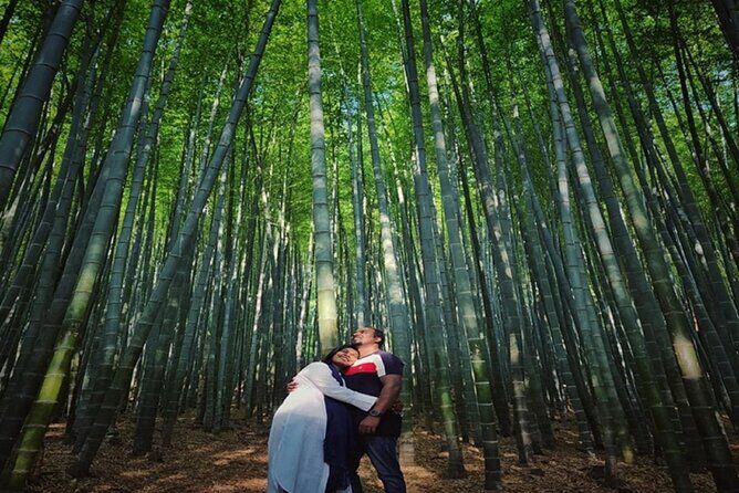 Private Busan Tour -Explore Cultural Landmarks with a Local Guide - How the Experience Plays Out