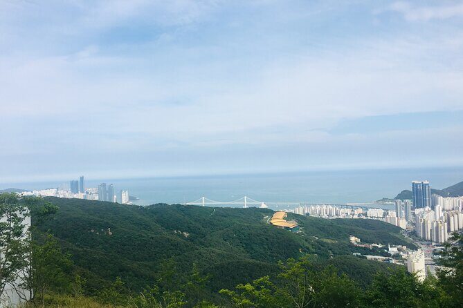 Private Busan tour with gamcheon culture village and the temple (Customizable) - Wrapping Up