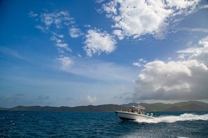 Private BVI Full Day Soggy Dollar and Willy T Tour - Who Should Book This Tour?