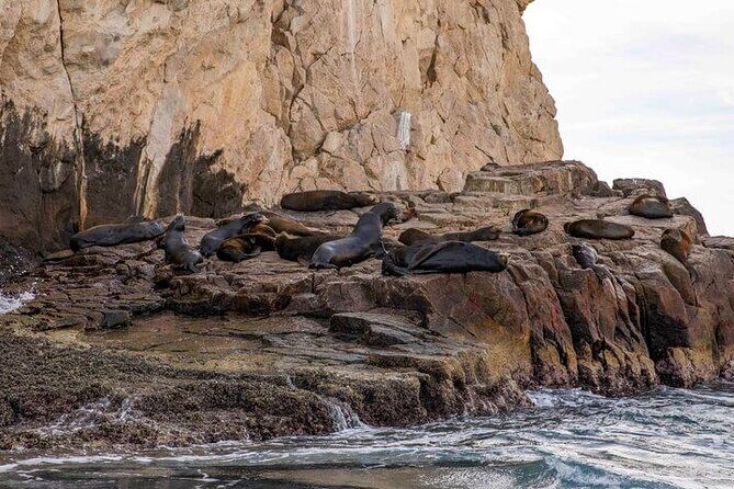 Private Cabo San Lucas City Tour - Why Choose This Private Tour?