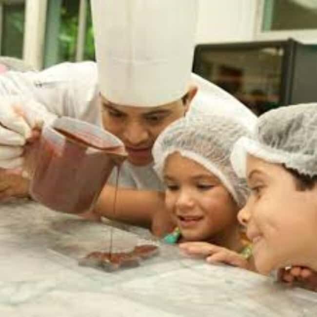 Private: Cacao Plantation Tour with Lunch & Tasting - Discovering the Sweet Side of the Dominican Republic: A Review of the Private Cacao Plantation Tour with Lunch & Tasting