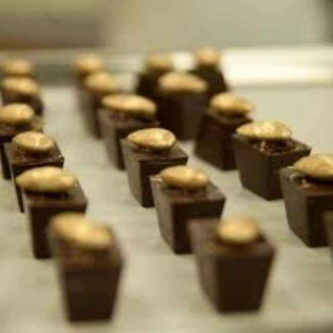 Private: Cacao Plantation Tour with Lunch & Tasting - An In-Depth Look at the Cacao Plantation Tour