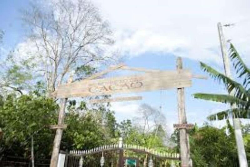 Private: Cacao Plantation Tour with Lunch & Tasting - Final Thoughts: Is It Worth It?