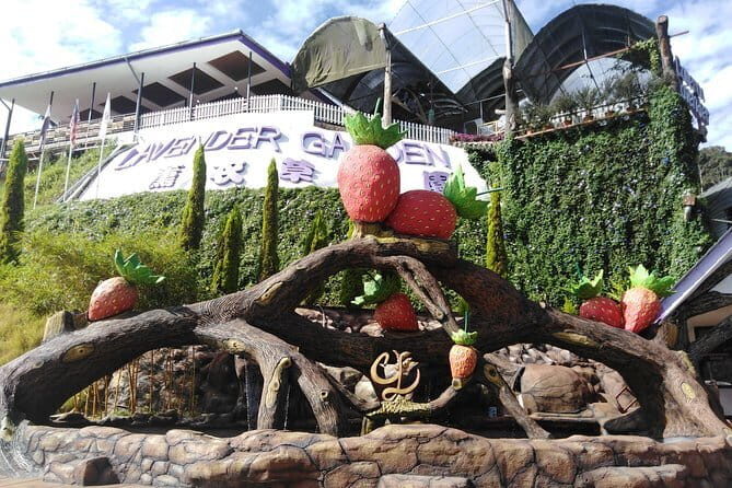 Private: Cameron Highlands 2 days 1 night Trip - The Sum Up: Is This Tour Worth It?