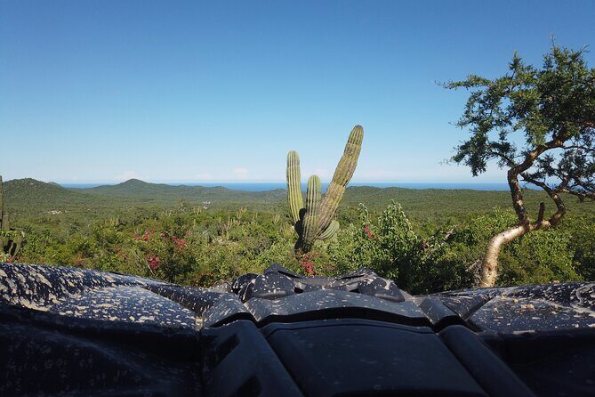 Private Can-Am Maverick X3 Off-Road Adventure in Cabo San Lucas - Authentic Views and Genuine Experiences