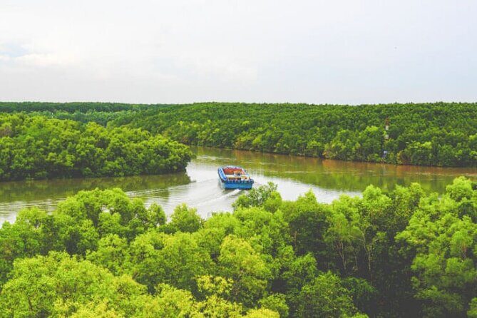Private Can Gio Mangrove Forest 1 Day - Transportation, Timing, and Value