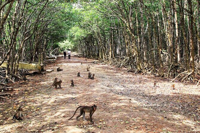 Private Can Gio Mangrove Forest 1 Day - Who Should Consider This Tour?