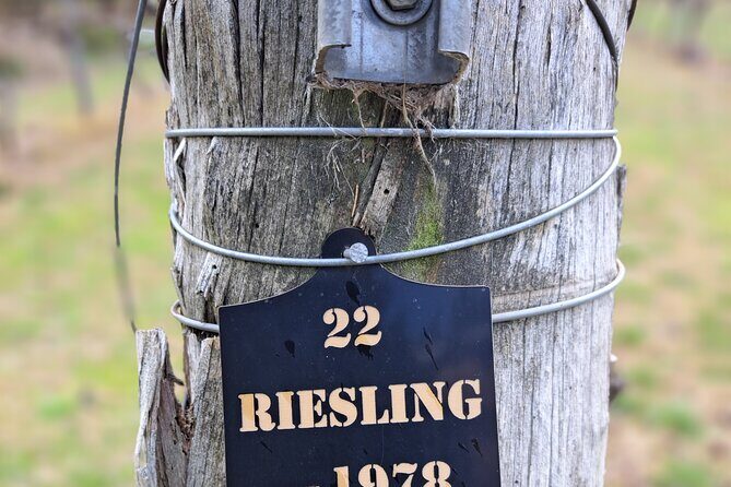 Private Canberra Winery Tour with lunch - Practical Tips for Your Tour