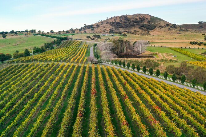 Private Canberra Winery Tour with lunch - Frequently Asked Questions