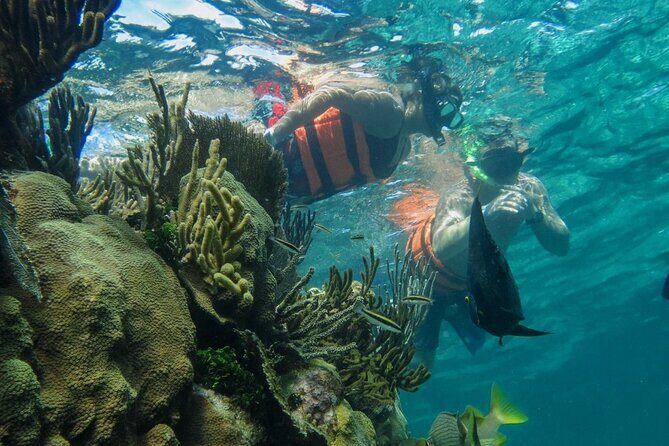 Private Cancun Boat Trip to Isla Mujeres with Snorkeling - Practical Details & What to Expect