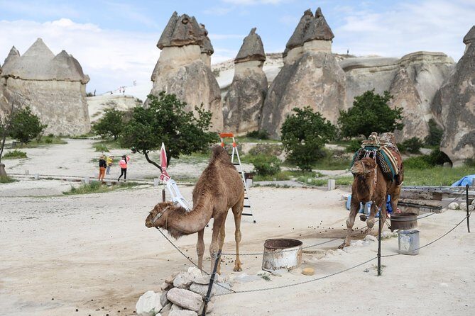 Private Cappadocia Tour w/Chimneys and Goreme Open Air Museum - The Sum Up
