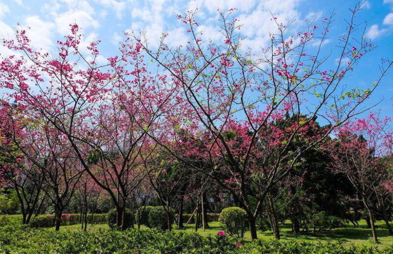 Private Car: 8-Hour Customized Taipei City Exploration! - Key Points