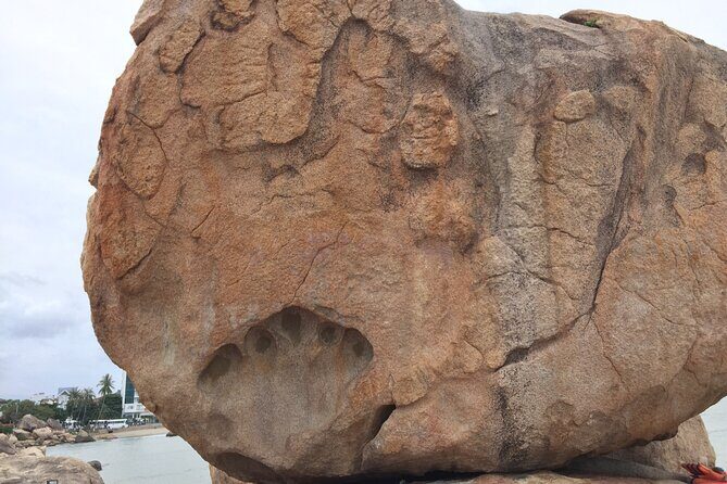 Private Car Airport Transfer to Nha Trang City - Who Should Book This Service?