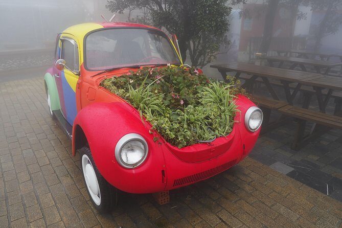 Private car and cable car ticket to the Ba Na hills and Golden Bridge - Who Will Love This Tour?