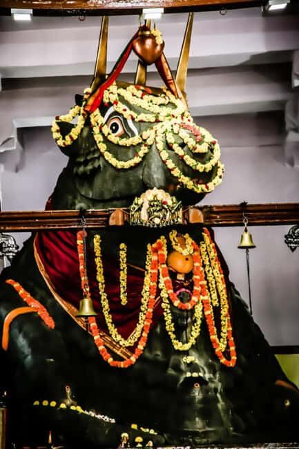 Private car and driver Bangalore Excursion to Bannerghatta - Itinerary Breakdown: What You Can Expect